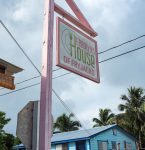 All the Belize Puns & 16 Other Things That Shocked Me in Belize