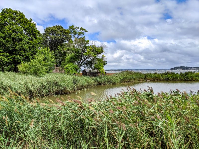 7 Creepy Hocus Pocus Filming Locations to Visit in Salem, Massachusetts
