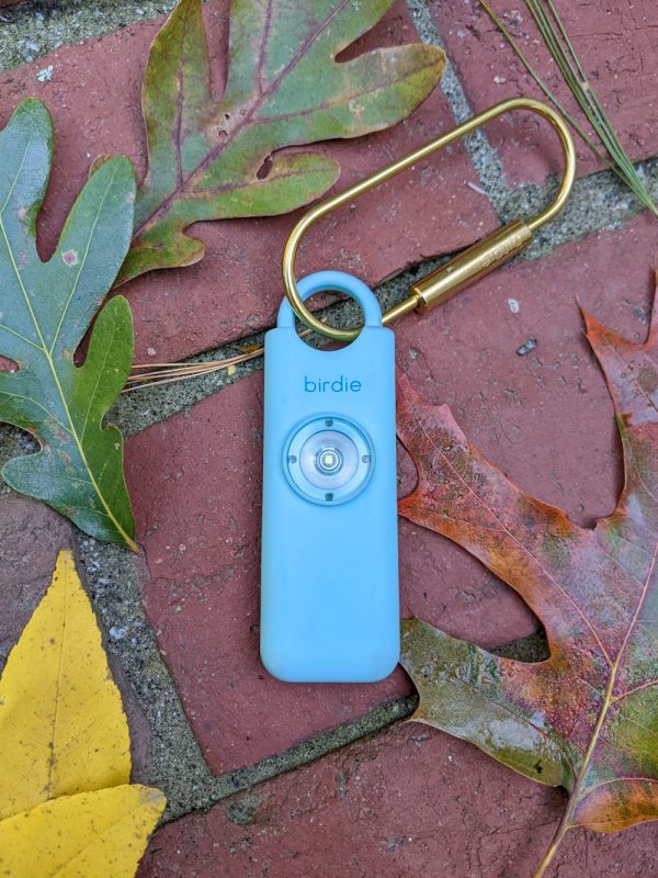 21 Must-Have Travel Safety Items for Your Travel Safety Kit