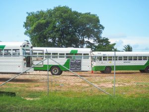 The Perfect Belize Itinerary: 7 Unforgettable Days, Jungle & Islands