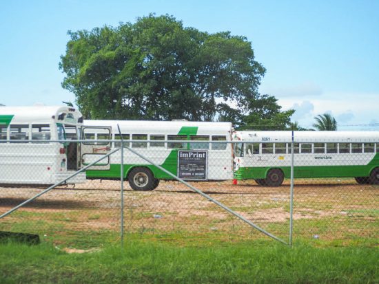 The Perfect Belize Itinerary: 7 Unforgettable Days, Jungle & Islands