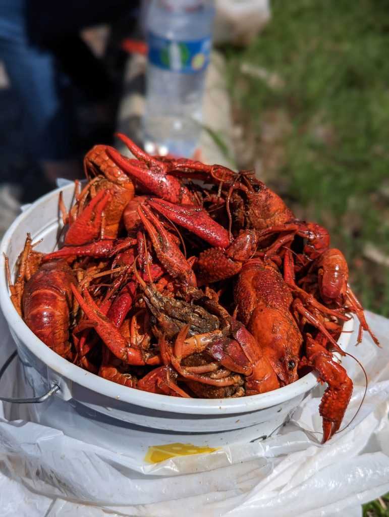 My Worst Travel Mistakes of 2023 & What to Learn From Them