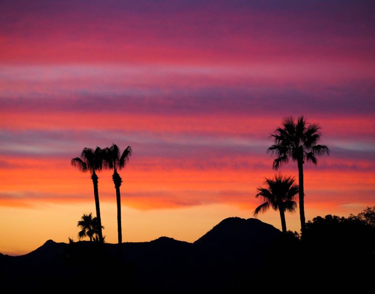 Offseason Arizona: 8 Reasons to Visit Scottsdale in the Winter