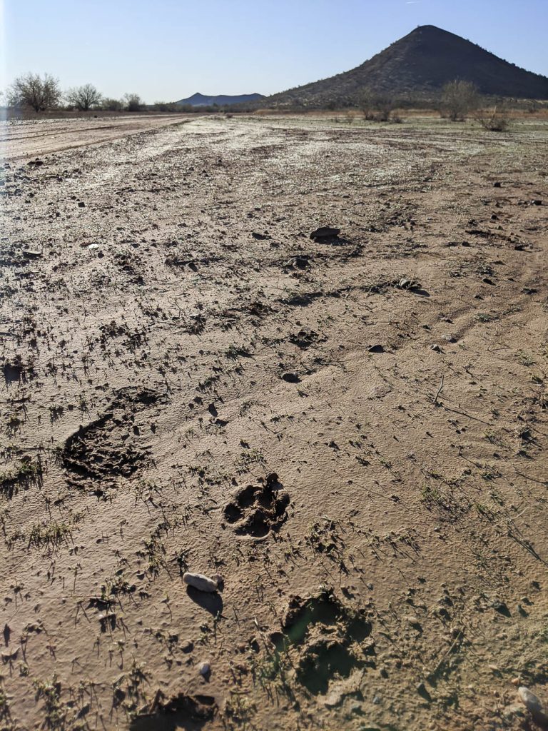 What to Pack for Arizona in the Winter (& What I Wish I'd Brought)