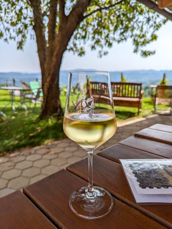 How to Go Wine Tasting in Slovenia: 3 Really Fun Wineries (+2 More Must ...