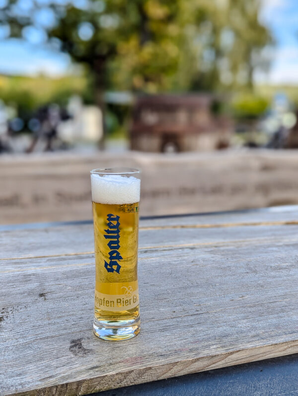 9 Reasons to Stay at the Bratwurst Hotel on Your Next Trip to Germany